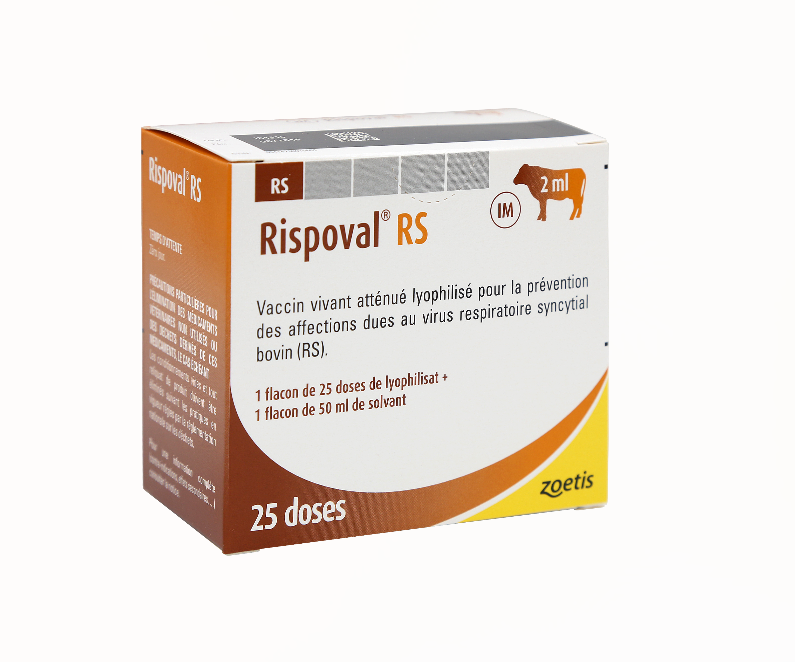 RISPOVAL RS LYOPHILISAT ET SOLVANT POUR SUSPENSION INJECTABLE POUR BOVINS - Med'Vet