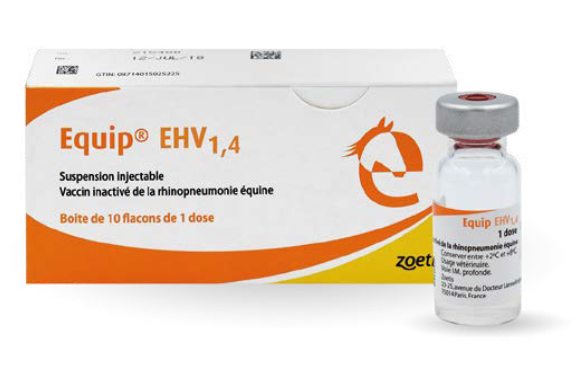 EQUIP EHV 1-4 SUSPENSION INJECTABLE POUR EQUINS - Med'Vet